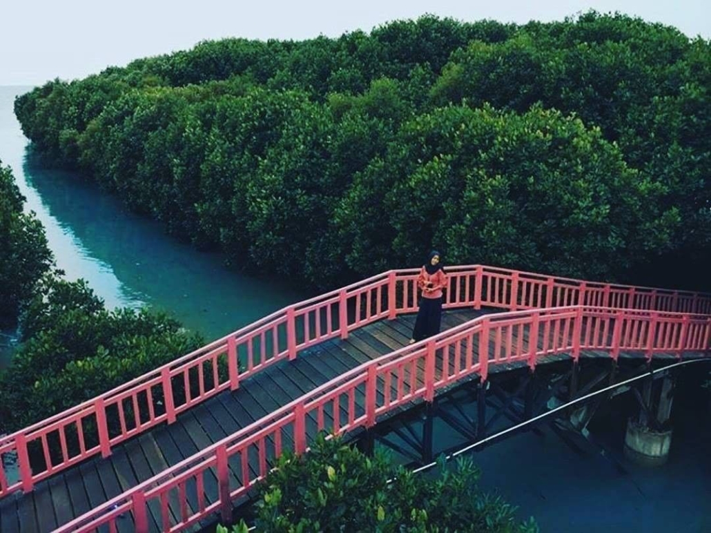 Menikmati 7 Wisata Alam Brebes Yang Populer Dan Mengagumkan