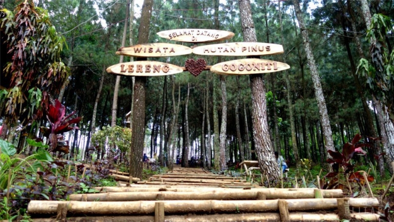 10 Lokasi Wisata Blitar Yang Populer Dan Terbaru Wajib Untuk Kamu Kunjungi