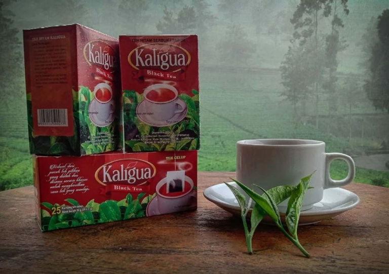 9 Fakta Kebun Teh Brebes Kaligua Paguyangan Yang Indah Dan Hijau