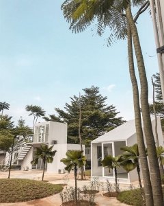 BSD Kini Memiliki Tempat Nongkrong Kekinian Yang Populer "KUMULO ...