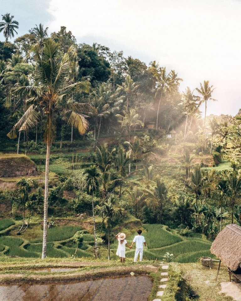 Ingin Berwisata Yang Hijau ? Kunjungi 10 Wisata Ladang Sawah Indonesia ...