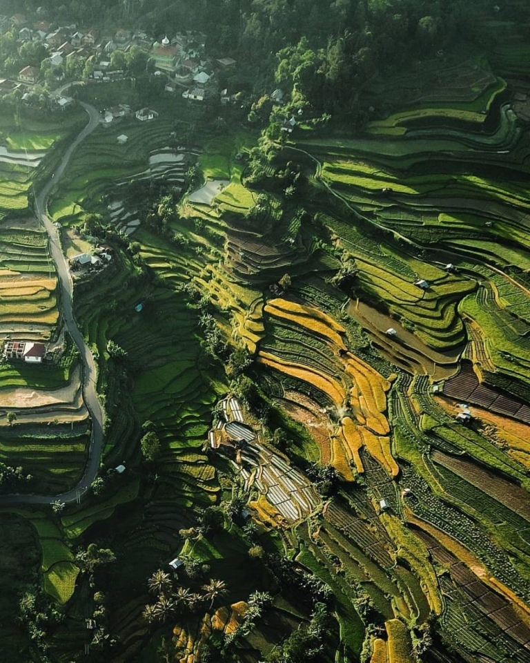 Ingin Berwisata Yang Hijau ? Kunjungi 10 Wisata Ladang Sawah Indonesia ...