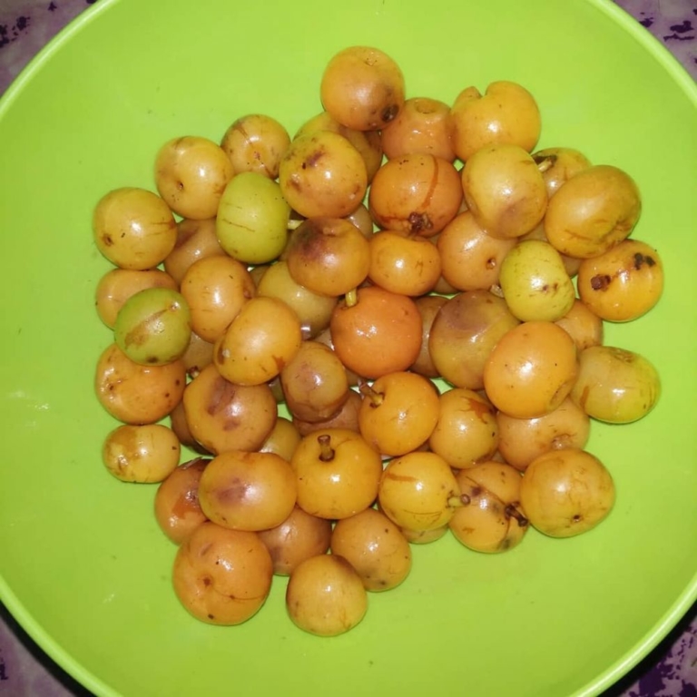 5 Oleh-Oleh Khas Barito Timur Yang Wajib Kamu Bawa Pulang