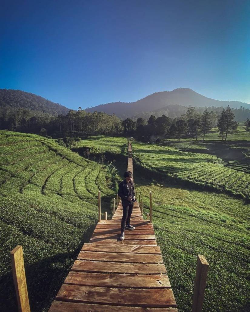 7 Destinasi Wisata Alam Bandung Yang Cantik Dengan Udara Super Sejuk