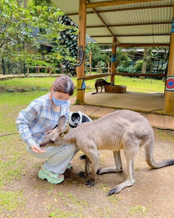 7 Rekomendasi Tempat Wisata Romantis Bogor Cocok Untuk Merayakan Hari Valentine