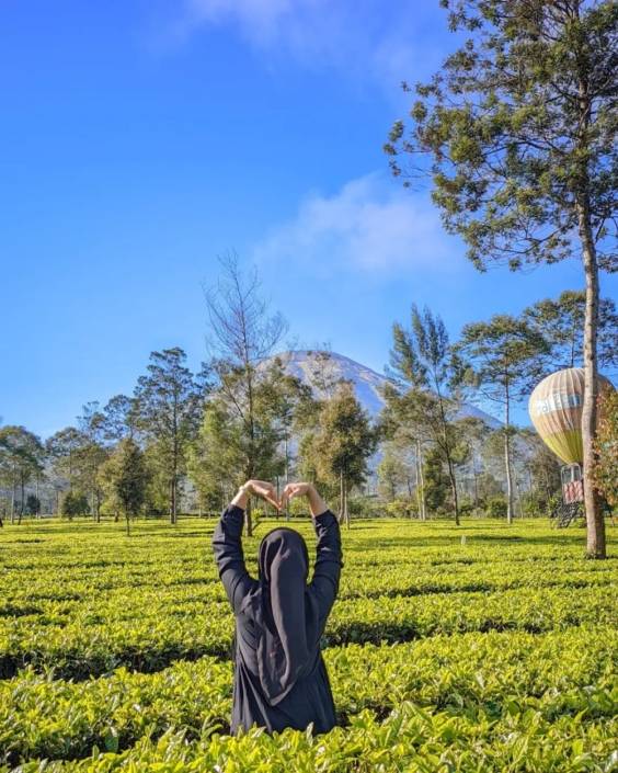 5 Kebun Teh Wonosobo Terpopuler Tawarkan Pemandangan Yang Sangat Mempesona
